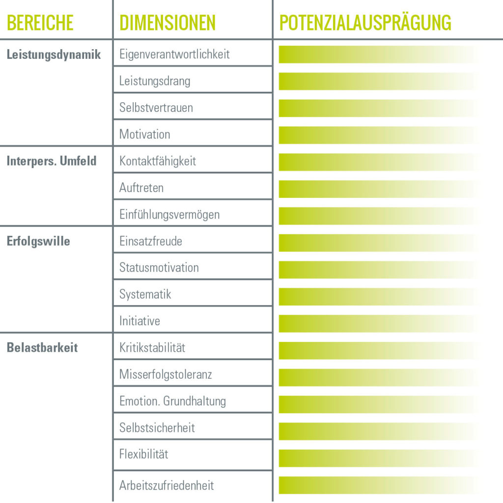 Potenzialanalyse - Young Pro Academy